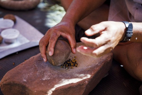 BUSH TUCKER - NATIVE AUSTRALIAN FOODS - Inspiring Journeys
