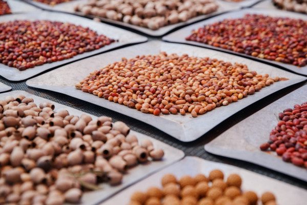 BUSH TUCKER - NATIVE AUSTRALIAN FOODS - Inspiring Journeys