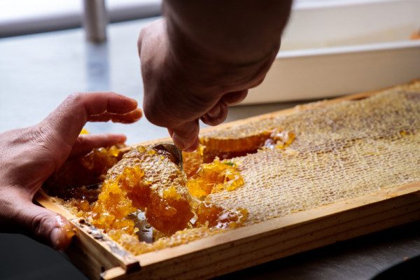 BUSH TUCKER - NATIVE AUSTRALIAN FOODS - Inspiring Journeys